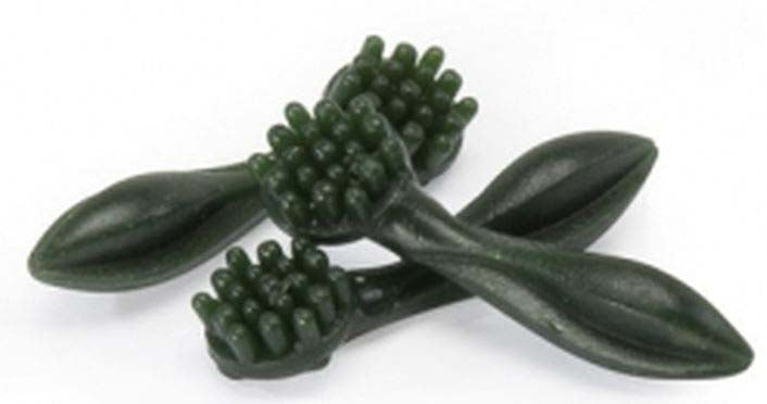 CAMON Veggie Recompense pentru câini Periuţă – Maxi-Pet.ro